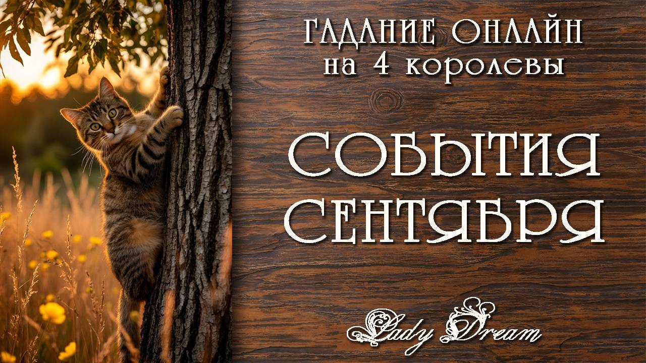 🍂 4 королевы ТАРО ПРОГНОЗ на СЕНТЯБРЬ 2025 / Гадание для всех знаков зодиака Lady Dream