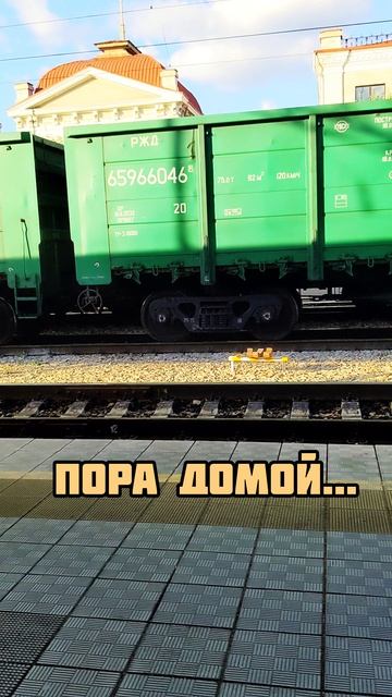 Как я на день рождения съездила🎁#tiktok #shorts #art #lizbet