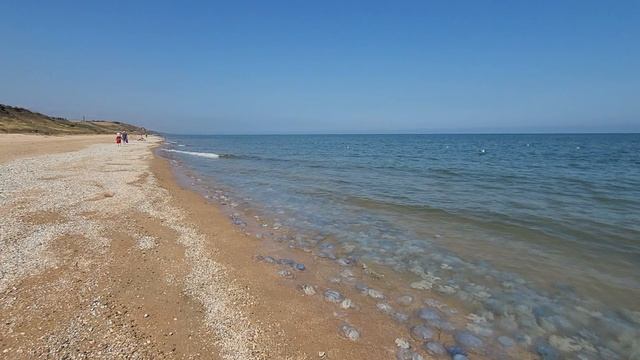Азовское море сентябрь. Медузы приплыли.