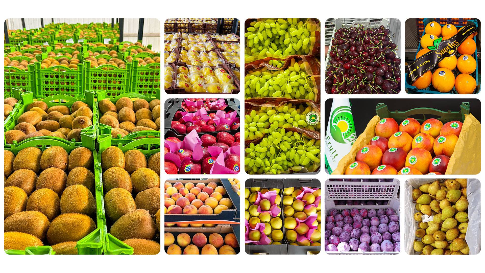 GilaFruit: Упаковка фруктов