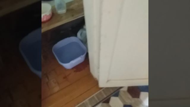 странный день