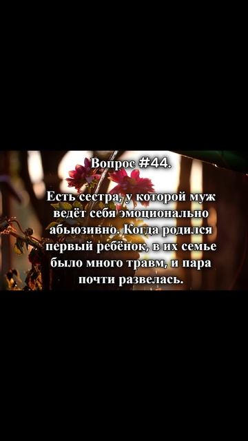 #раминмуталлим  #вопросответ  #shorts   #ислам  #знание  #rmotvet  @RMotvet  #религия