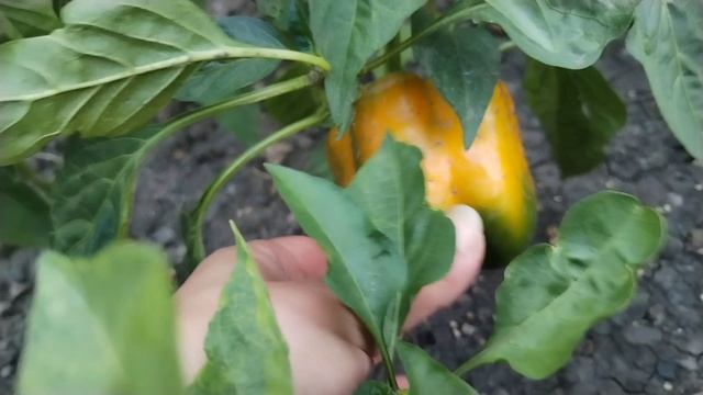 МОЙ ПЕРВЫЙ ДЕНЬ ОТПУСКА 😭🤪🙈