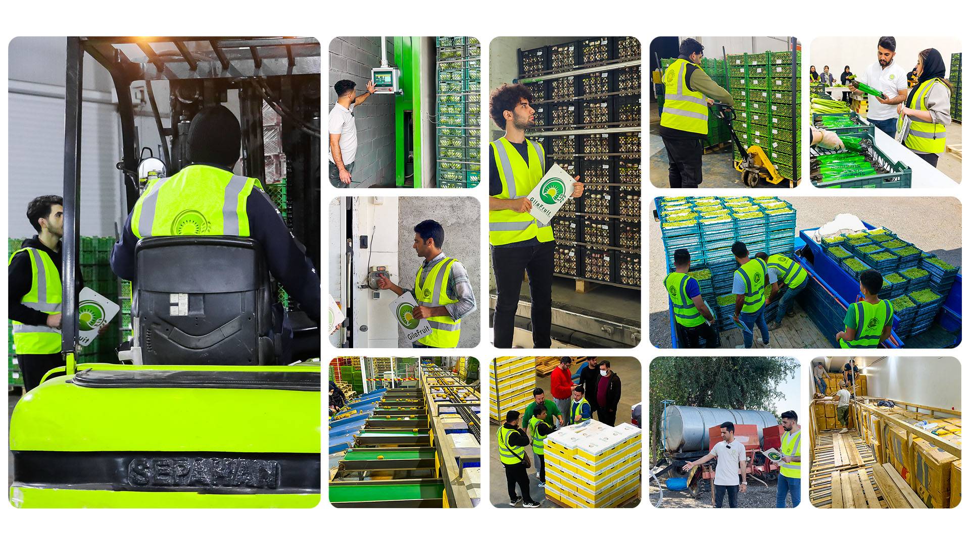 GilaFruit: Логистика