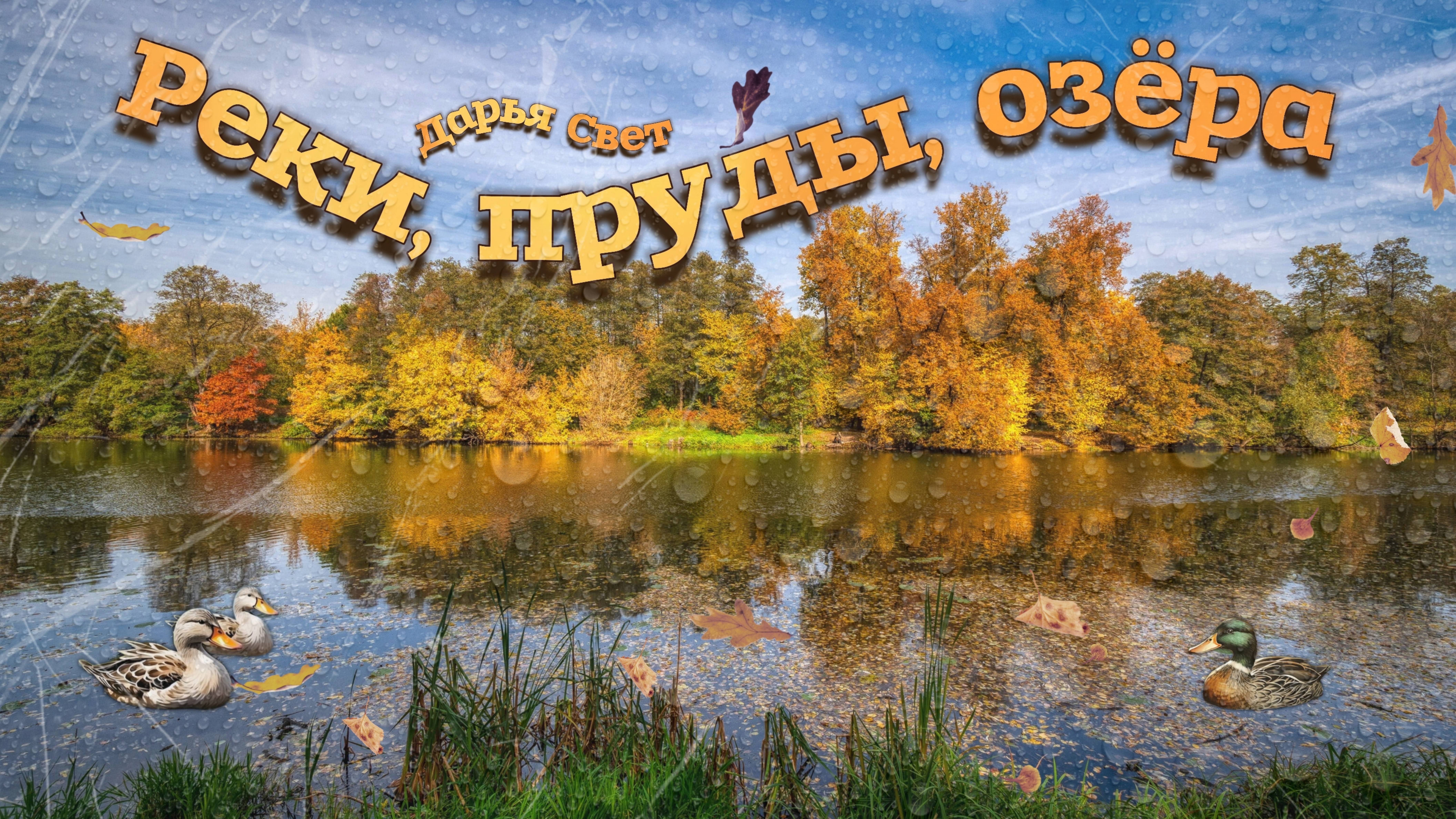 ВДНХ. Каменские пруды. Уточки. Жаркий денёк. Сентябрь 2025
