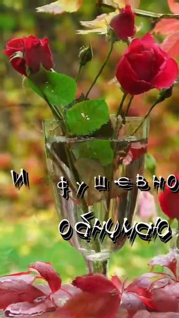 С добрым утром и хорошим днём. Новые музыкальные открытки пожелания.