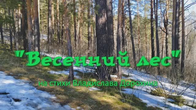 "Весенний лес" #весна #лес #Владислав_Дорохин