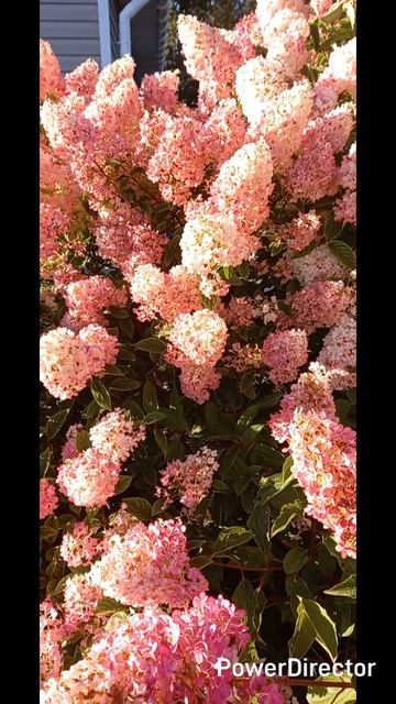 Первые дни осени.