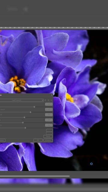 Превращаем фото в линогравюру с AliveColors