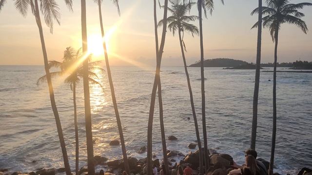 RELAX BEAUTIFUL NATURE Sri Lanka. Расслабляющее видео природы. Волны океана. Пляж. Закат.