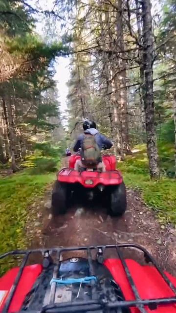 Съёмка контента для инвестиционного клуба