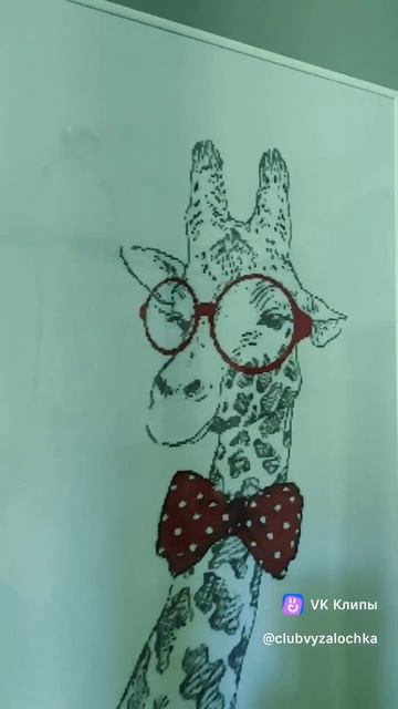 жирафы такие жирафы