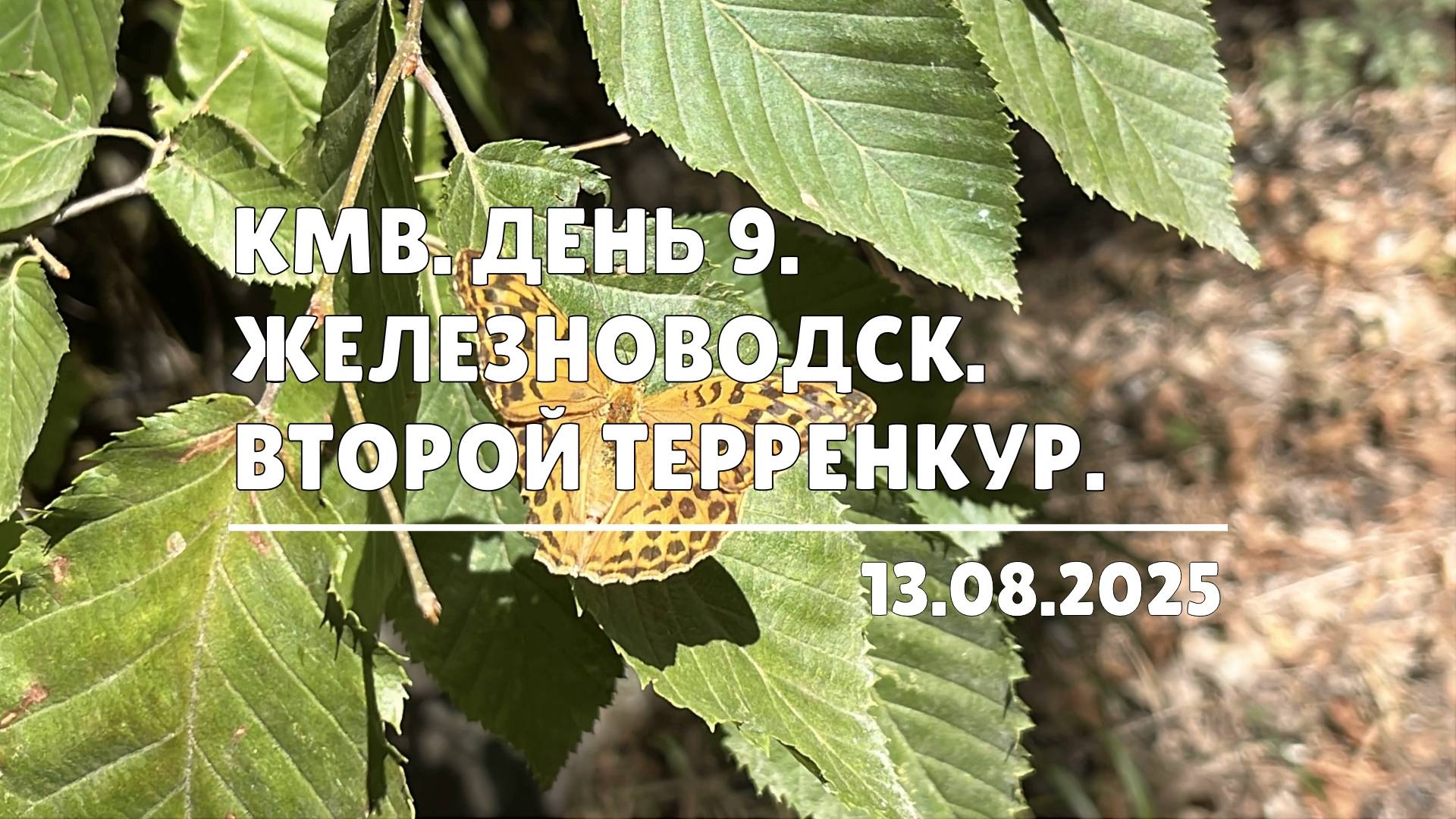 КМВ. День 9. Железноводск. Второй терренкур (13.08.2025)