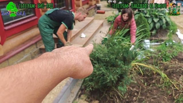 Сегодня День посадок🌳👨🌲