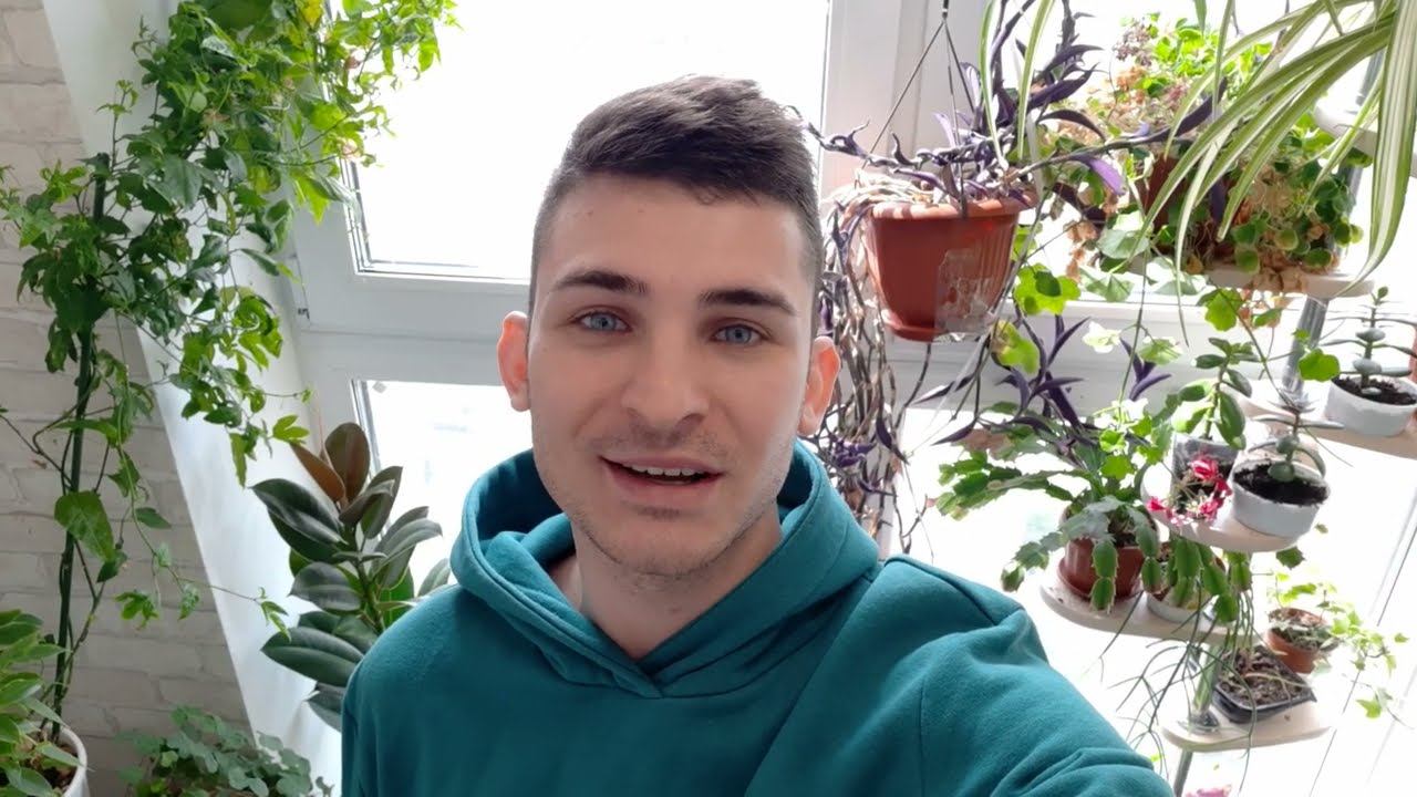 2 ур Дружбы  Мочи сурков