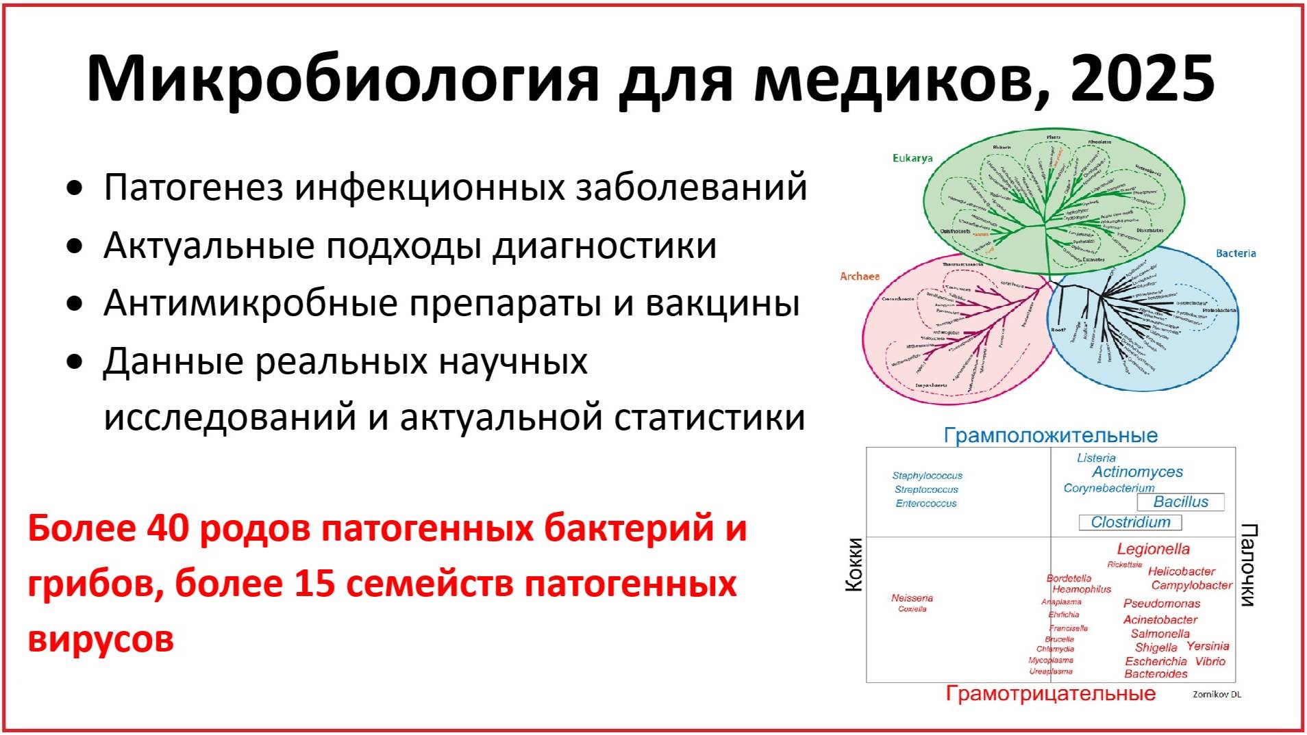 Микробиология для медиков (2025): добро пожаловать на курс