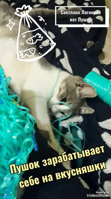 Вяжем овальную мочалку "Мини"! 🧶✨