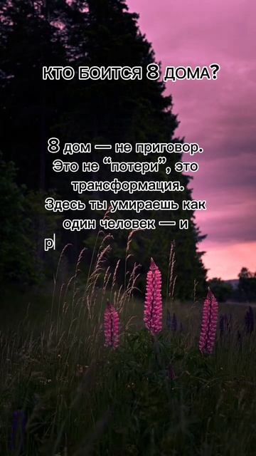 Кто боится 8 дома? #7гроз #веды #нумерология #астрология #магиячисел
