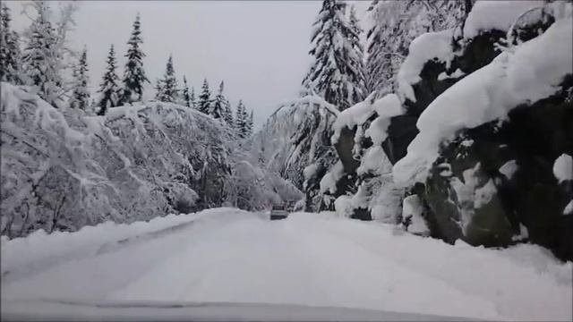 White Christmas - Екатерина Шелехова