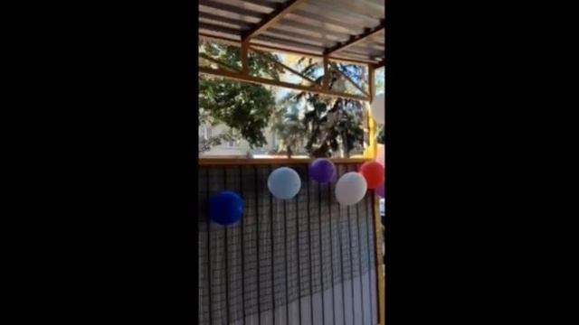 VID-20250901-WA0104