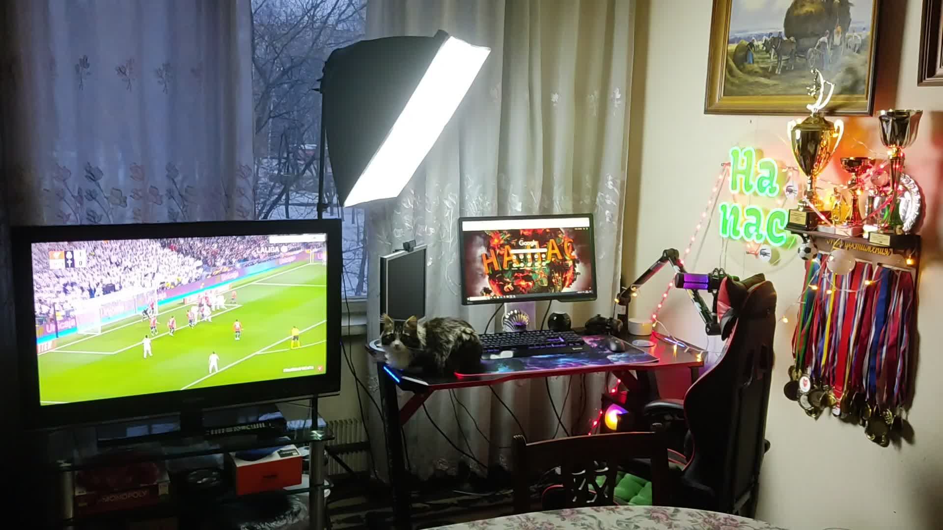 Вечерний стрим