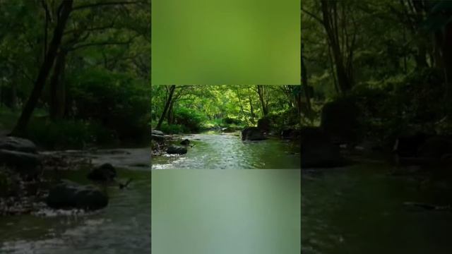 ФЕСТИВАЛЬ НАРОДНАЯ ПЕСНЯ 1968. ЮГОСЛАВИЯ