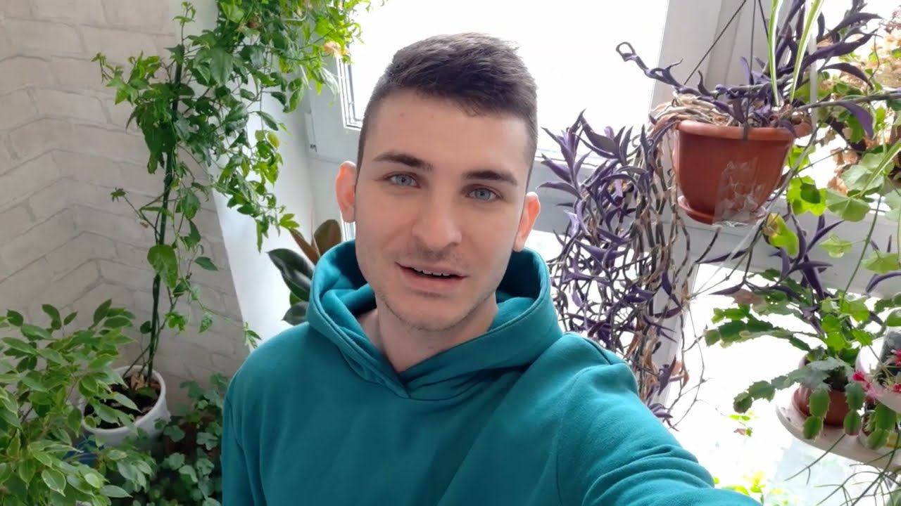 2 ур Дружбы  Сходить на концерт