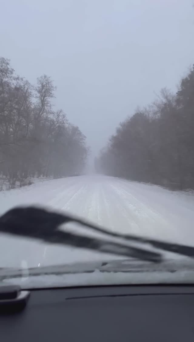 РЕДКИЙ СНЕГ НА ДОНУ #shorts