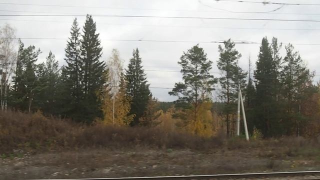 Екатеринбург - Шаля, вид из окна поезда (Транссибирская магистраль, Урал).