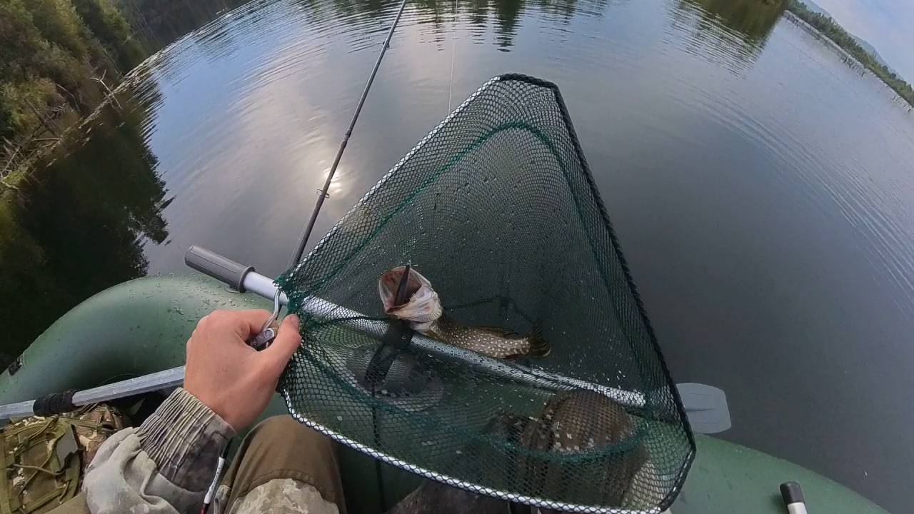 РЫБАЛКА НА ЩУКУ КОНЕЦ АВГУСТА/ЛОВЛЯ РЫБЫ