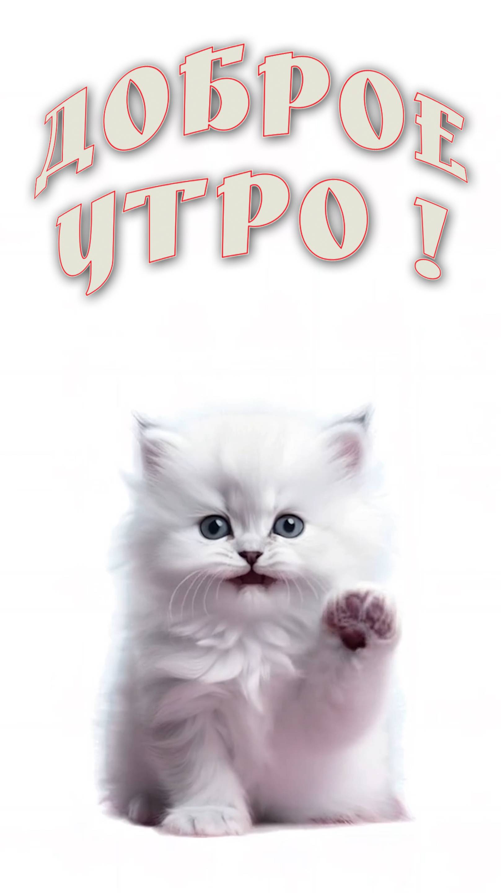 Доброе утро !