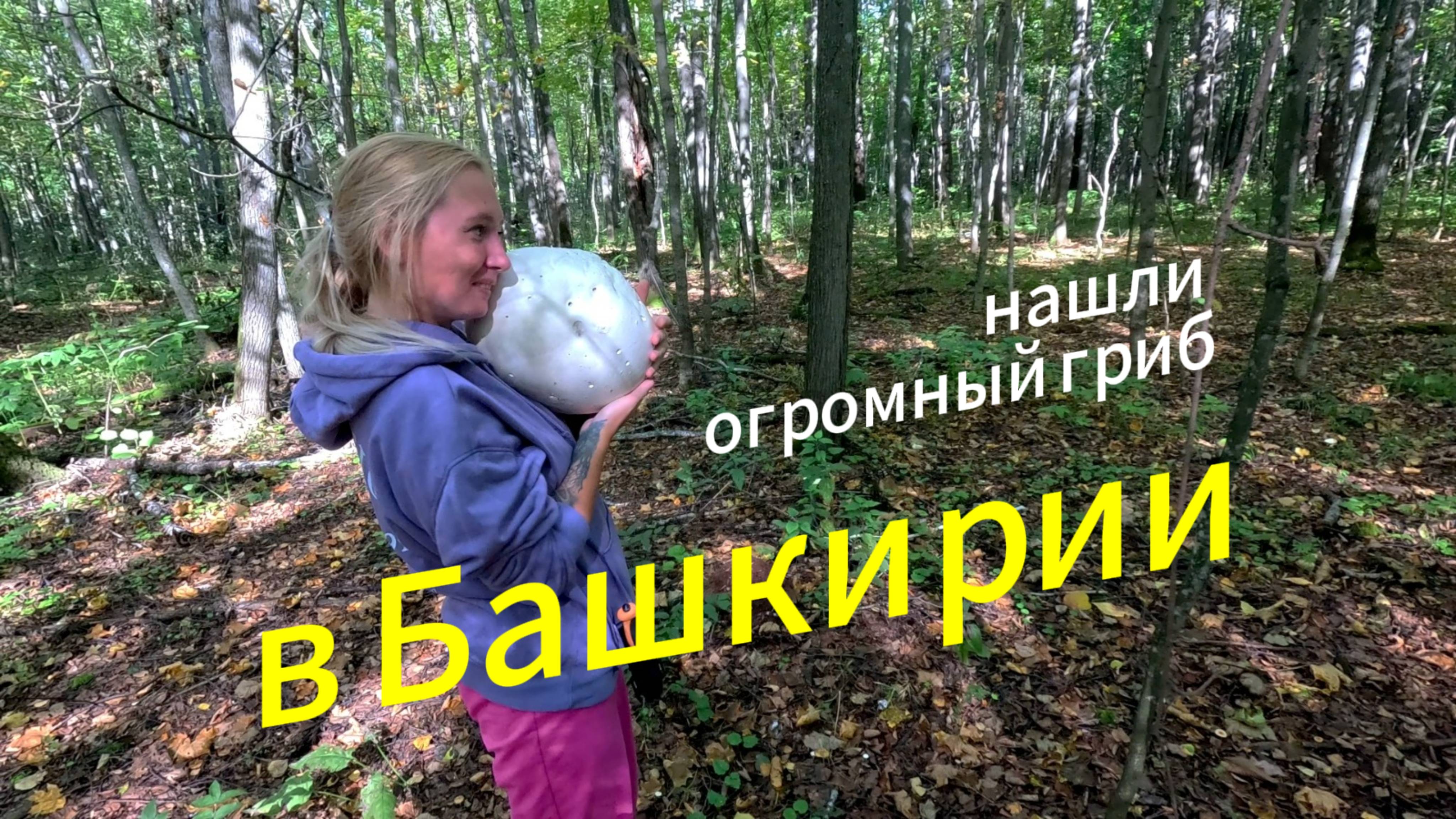 По Башкирии. Едем за грибами