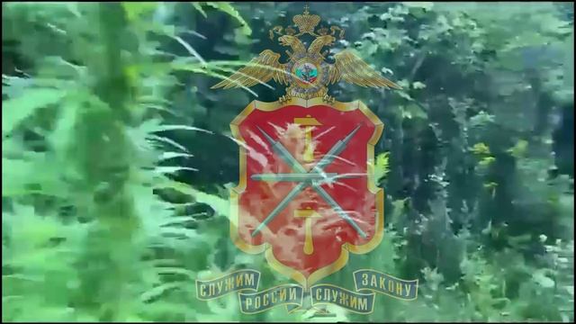 Полицейские обнаружили и изъяли у жителей Новомосковского района более 180 кустов конопли
