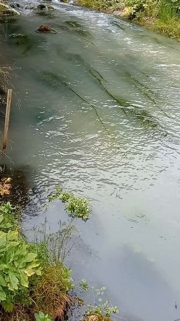 Где нельзя шуметь — только слушать Природа возле пещеры Шульган-Таш  Республика Башкортостан