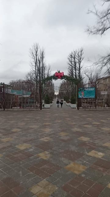 Александровский парк г Шахты. Прогулка 7 января 25 год. #тренд #топ #реелс #shorts #в рекомендация