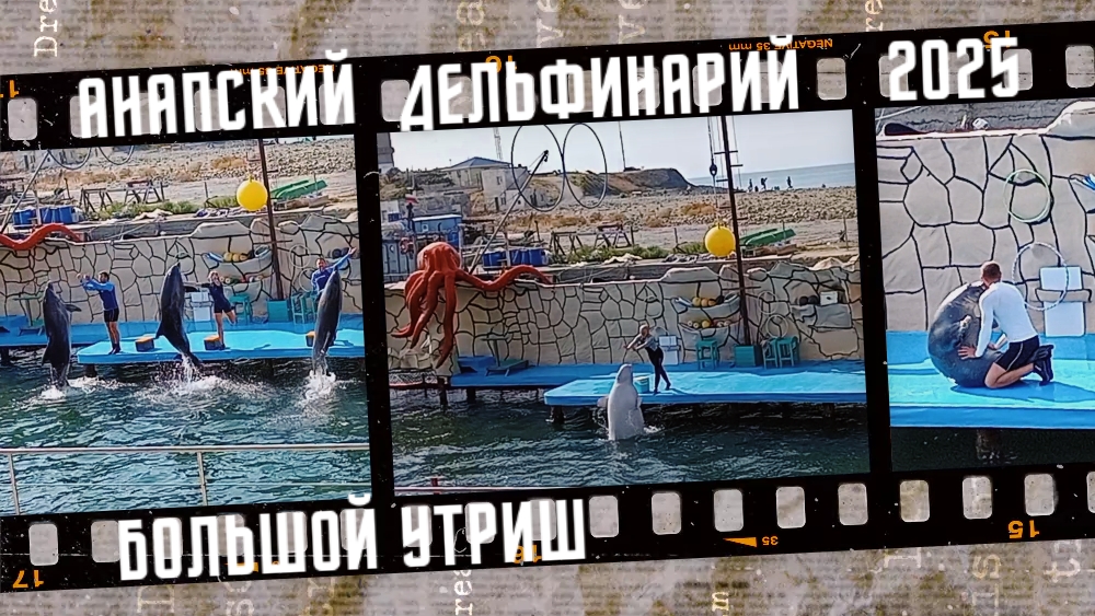Анапский дельфинарий в Большом Утрише.
