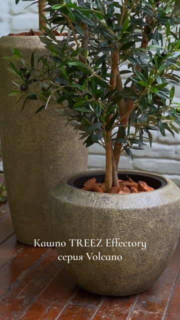 Кашпо TREEZ Effectory серия Volcano