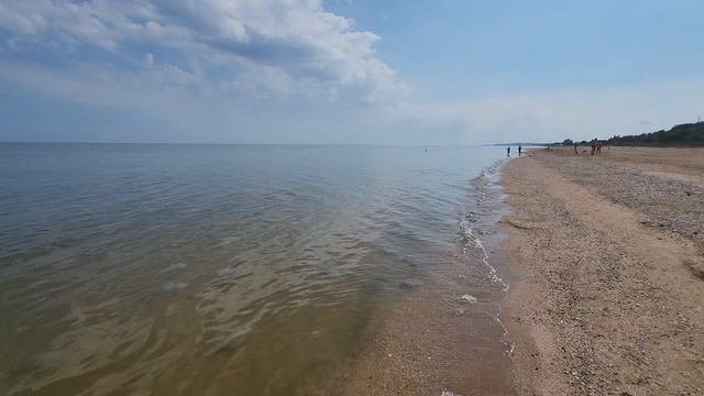 Азовское море, медузы, сентябрь.