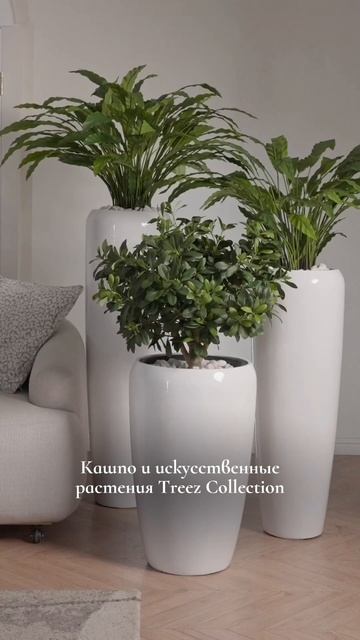 Gloss: сияние форм и блеск зелени