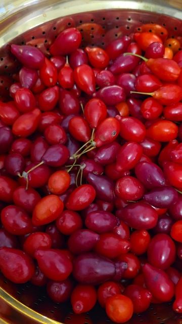 Сезон кизила, какие рецепты? что готовите?