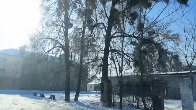 Воспоминания 2021г.  Первый день с Мурочкой🤣. Ездили в центр за покупками.