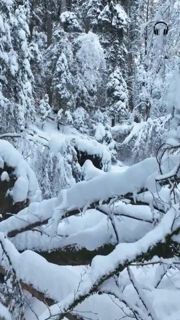 А ты любишь СНЕГ??? #shorts