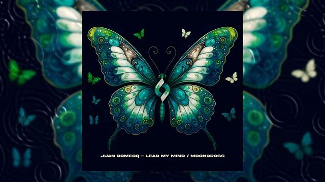 Juan Domecq - Moondross [Journey of the Soul]