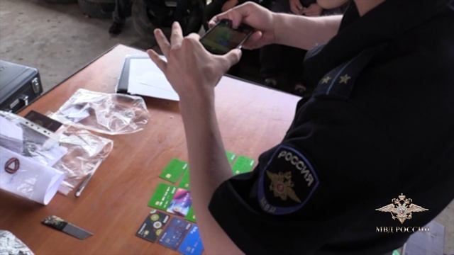 Ирина Волк: В Волгограде полицейские перекрыли канал незаконной миграции
