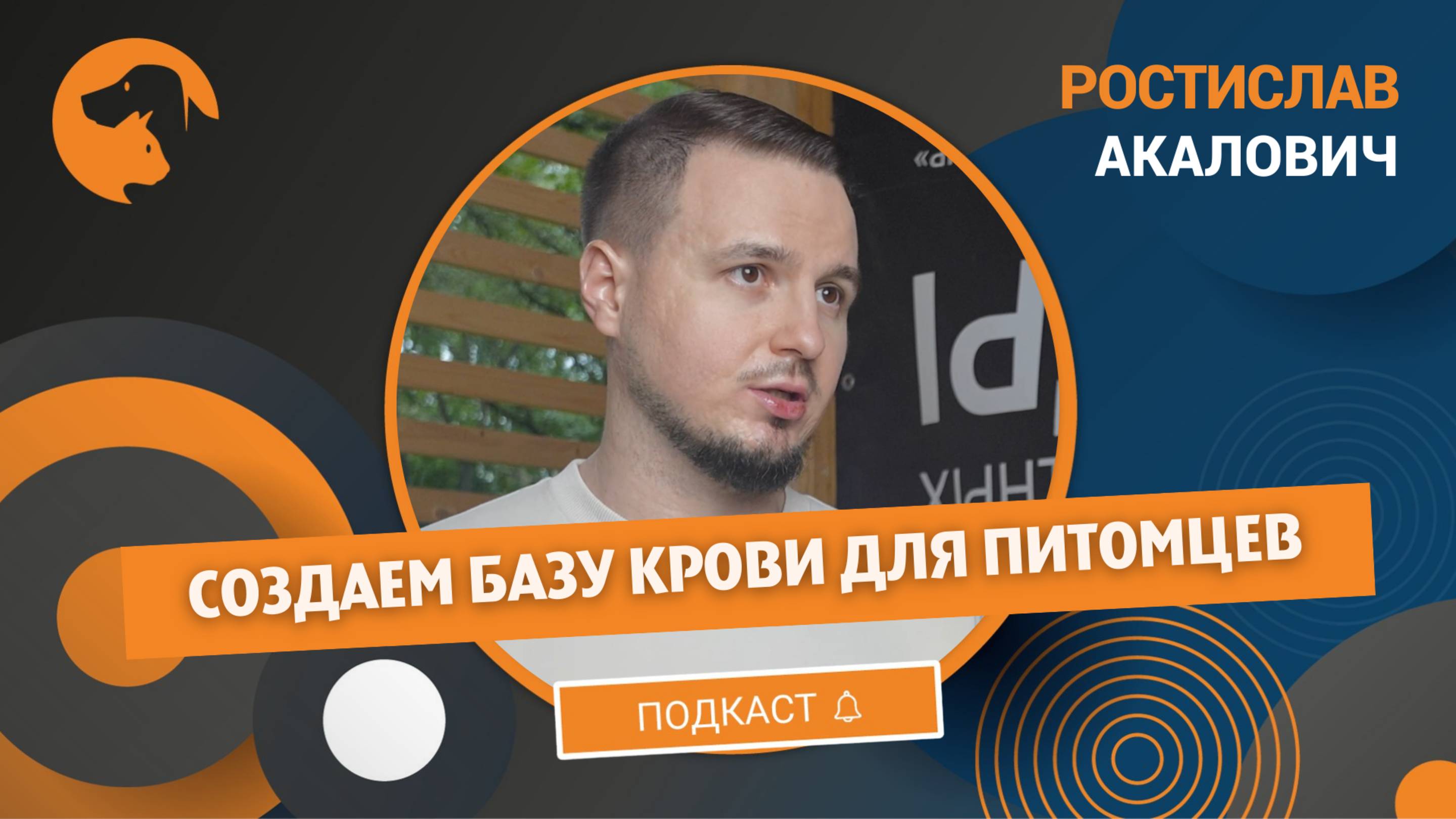 Новый сервис по поиску крови и доноров для животных запустят осенью в России