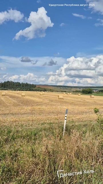 Любимые пейзажи, приближающаяся осень, валики сена