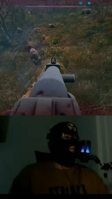Помощники... #stalker2