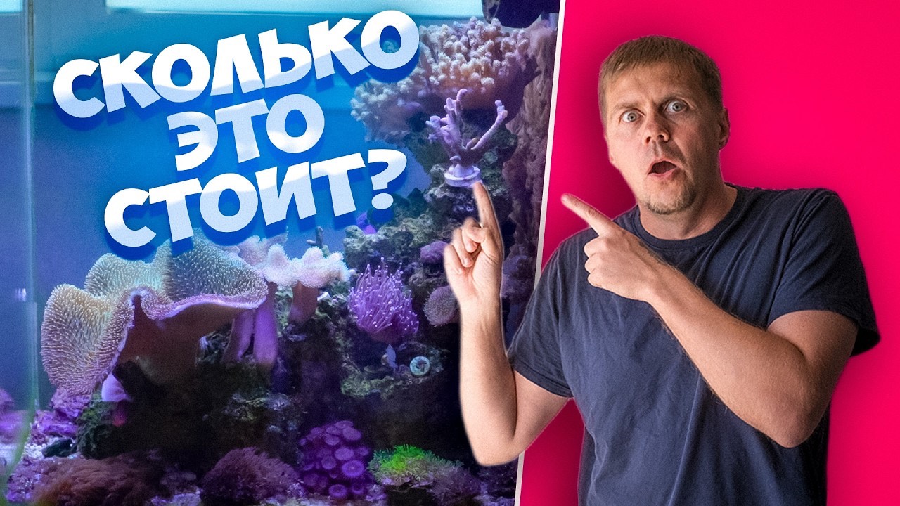 Морской аквариум реальная стоимость без иллюзий