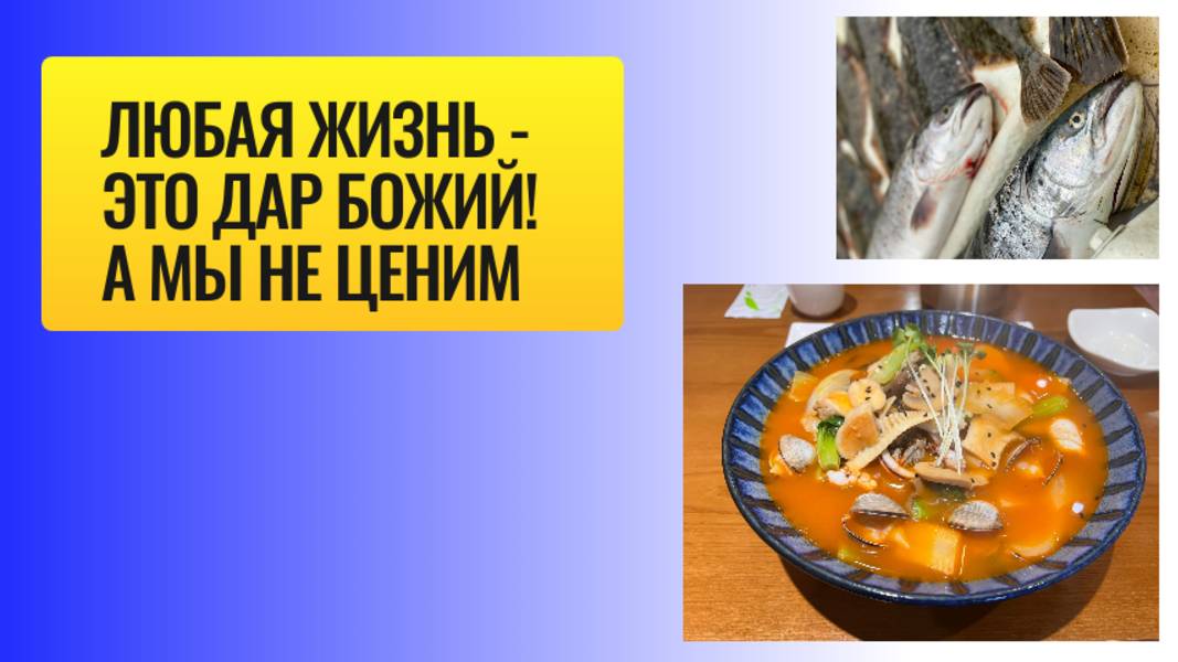 Жизнь каждого бесценна. Живите долго.