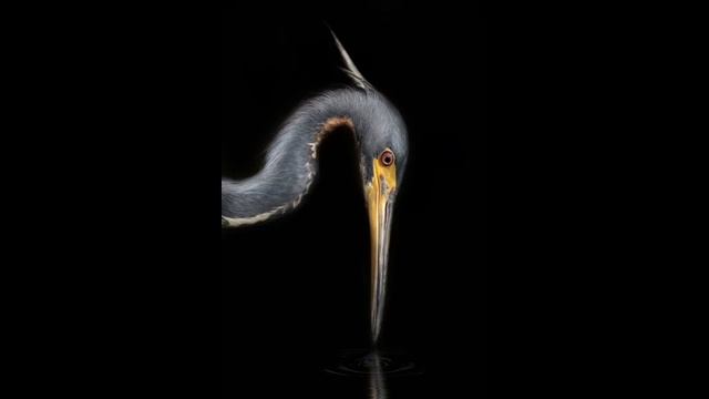 2025_08_15_Обсуждение_Реформа_Здоровья_По_Вере_Воздержание